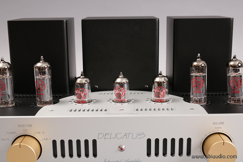 서병익 오디오 - 10W + 10W EL84 A급 푸시풀 인티앰프 델리카투스 GE